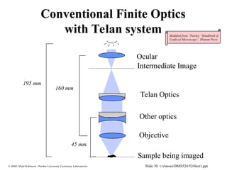 Microscopy flourescent staining techniques | PPT