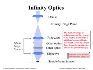 Microscopy flourescent staining techniques | PPT