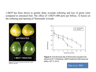 Genetically Modified Horticultural Crops | PPTX