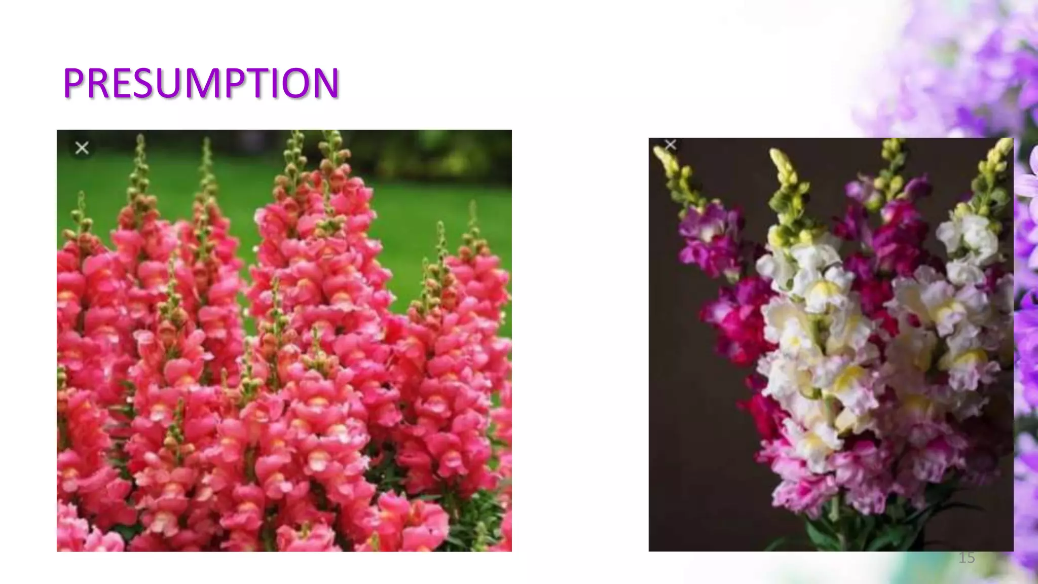 Scope and of floriculture in india | PPTX