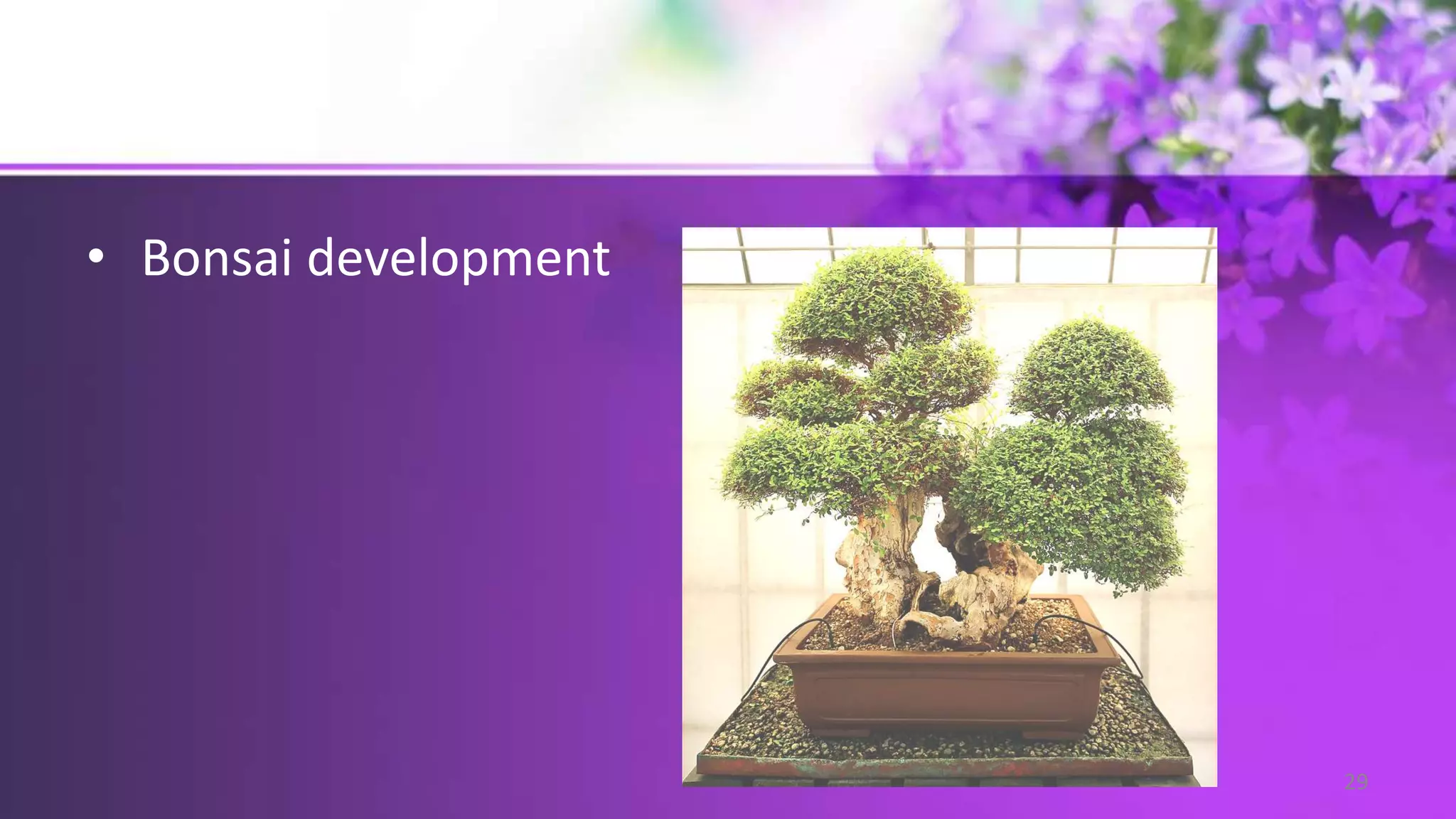 Scope and of floriculture in india | PPTX