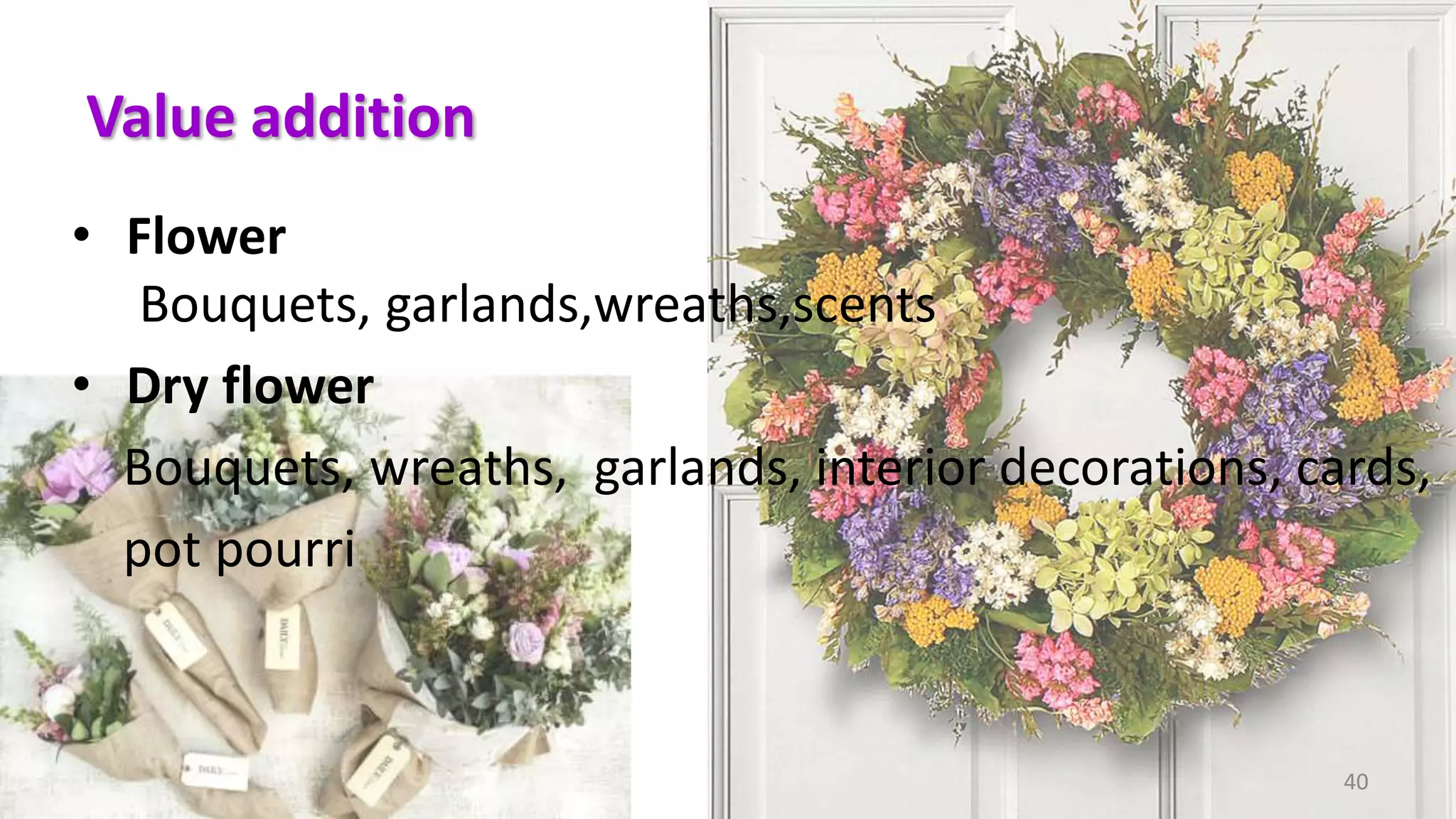 Scope and of floriculture in india | PPTX