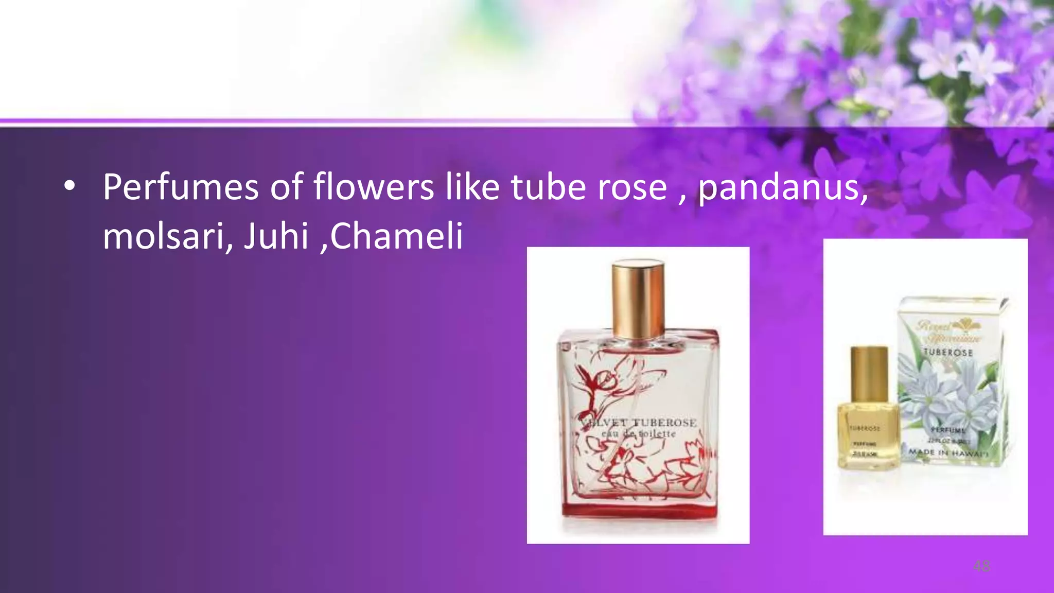 Scope and of floriculture in india | PPTX