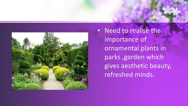 Scope and of floriculture in india | PPTX