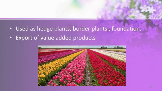 Scope and of floriculture in india | PPTX