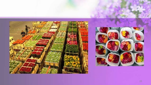 Scope and of floriculture in india | PPTX