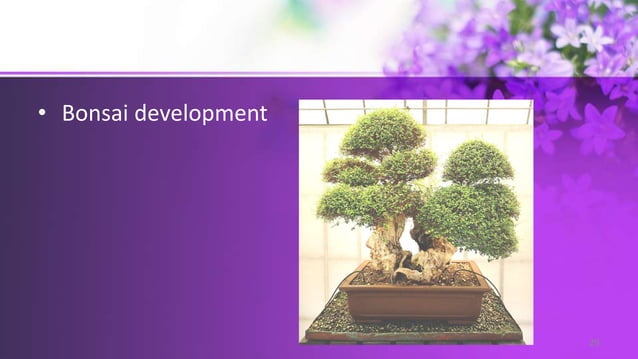 Scope and of floriculture in india | PPTX