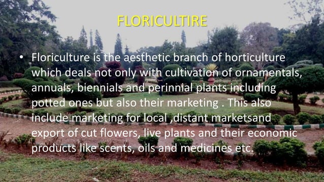 Scope and of floriculture in india | PPTX