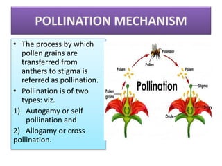 Scope and importance of fruit crops & pollination mechanism | PPTX