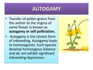 Scope and importance of fruit crops & pollination mechanism | PPTX