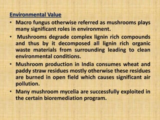 Scope and importance of mushroom | PPTX