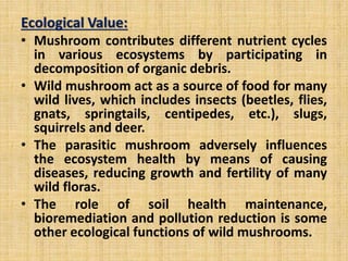 Scope and importance of mushroom | PPTX