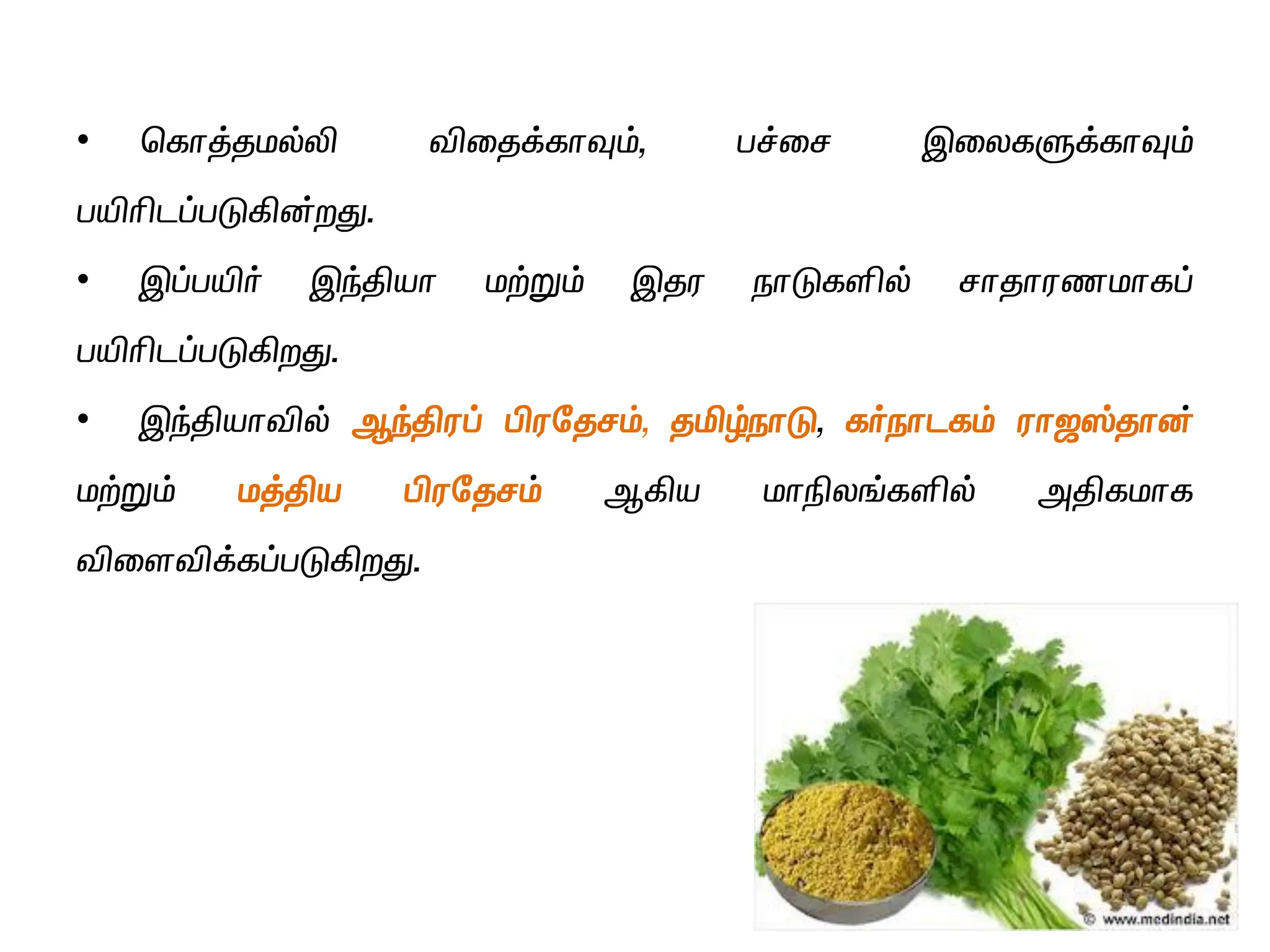 Scope and importance of seed spices in India and Therapeutic value ppt.pdf