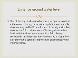 Scope and importance of turf grass | PPTX