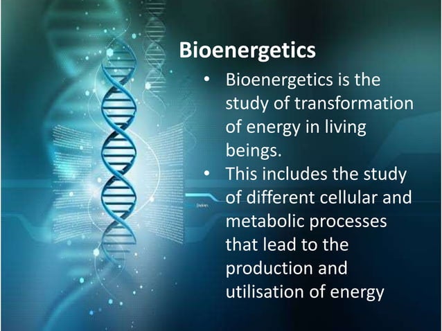 Scope and importance of bioenergetics | PPTX