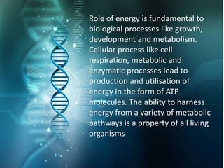 Scope and importance of bioenergetics | PPTX