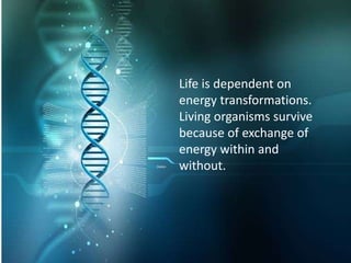 Scope and importance of bioenergetics | PPTX