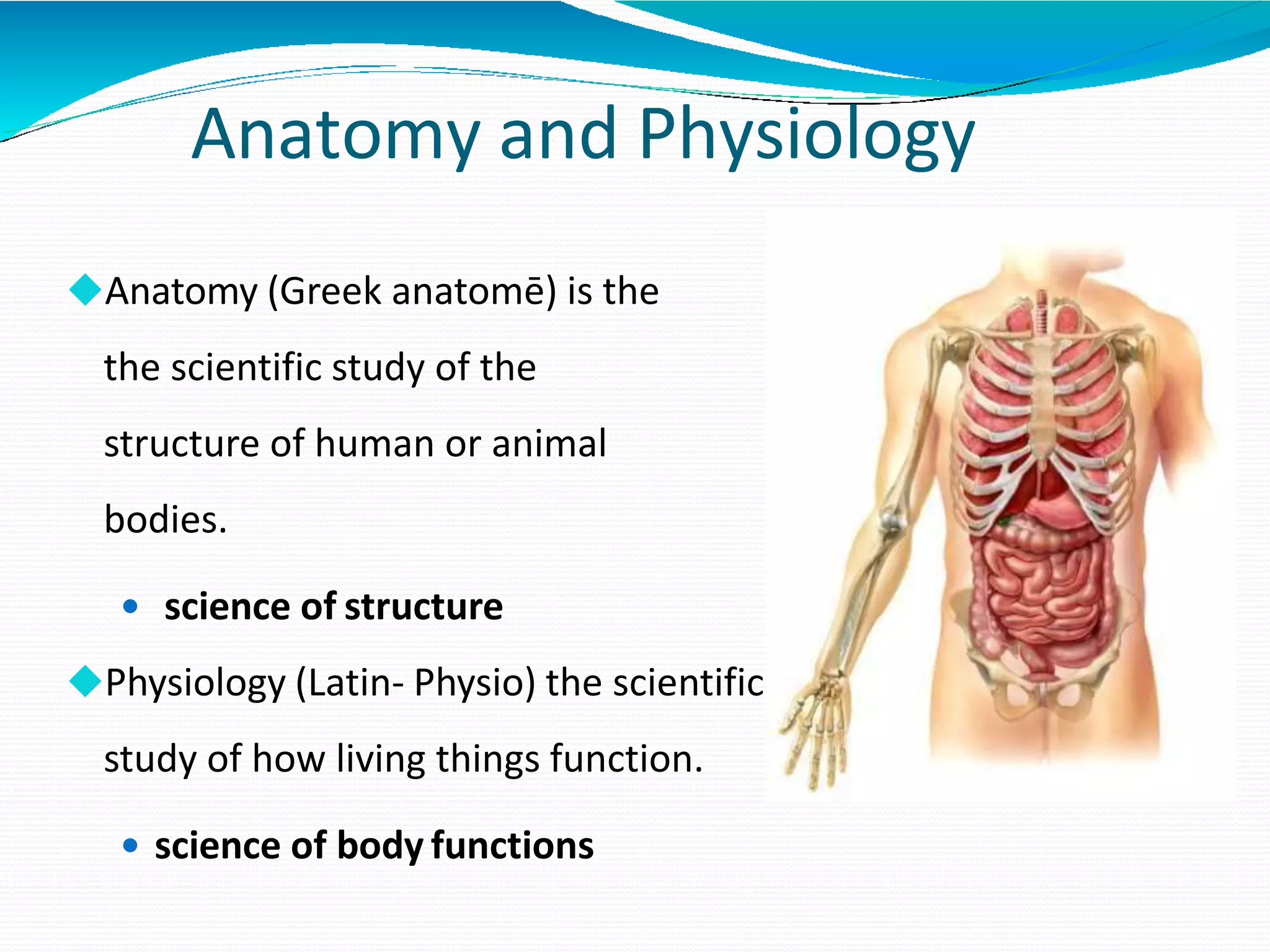SCOPE OF HUMAN ANATOMY AND PHYSIOLOGY.pptx