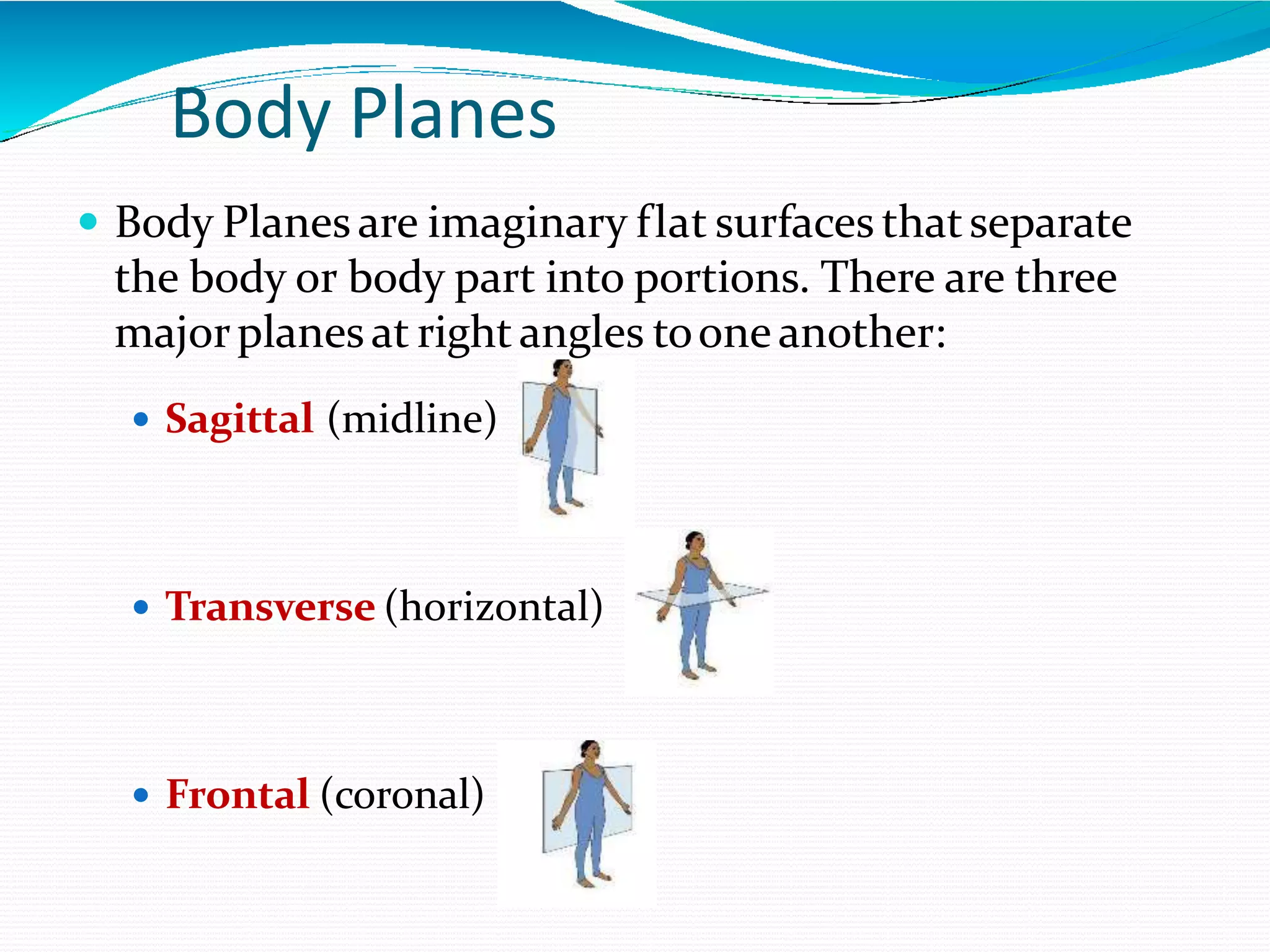 SCOPE OF HUMAN ANATOMY AND PHYSIOLOGY.pptx