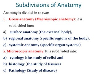 SCOPE OF HUMAN ANATOMY AND PHYSIOLOGY.pptx