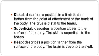 Scope of Anatomy and physiology.pptx