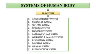 Scope of Anatomy and Physiology.pptx