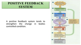 Scope of Anatomy and Physiology.pptx
