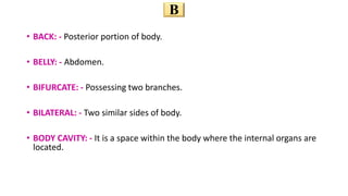 Scope of Anatomy and Physiology.pptx