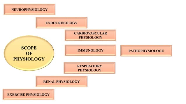 Scope of Anatomy and Physiology.pptx