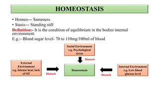 Scope of Anatomy and Physiology.pptx