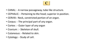 Scope of Anatomy and Physiology.pptx