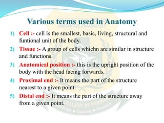 Scope of anatomy & physiology | PPTX
