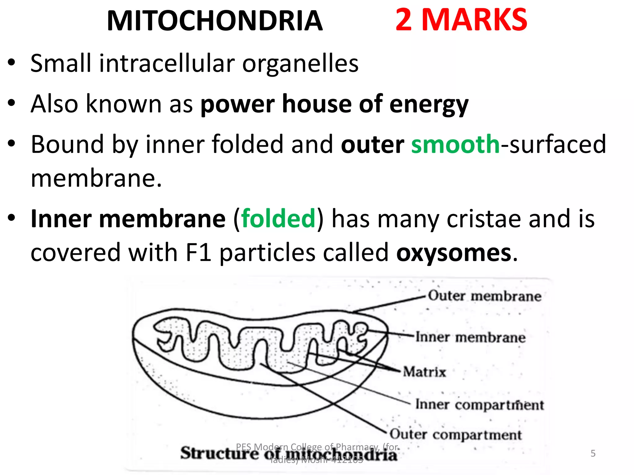 Scope of Anatomy & Physiology | PPTX