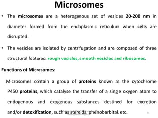 Scope of Anatomy & Physiology | PPTX
