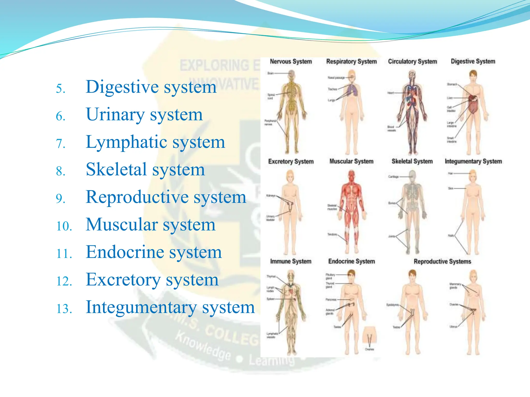 Scope of anatomy & physiology HAP I BP101T | PPTX