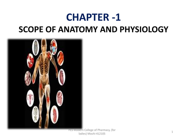 SCOPE OF ANATOMY & PHYSIOLOGY.pdf,introduction of human body,human physiology | PDF | Biological ...