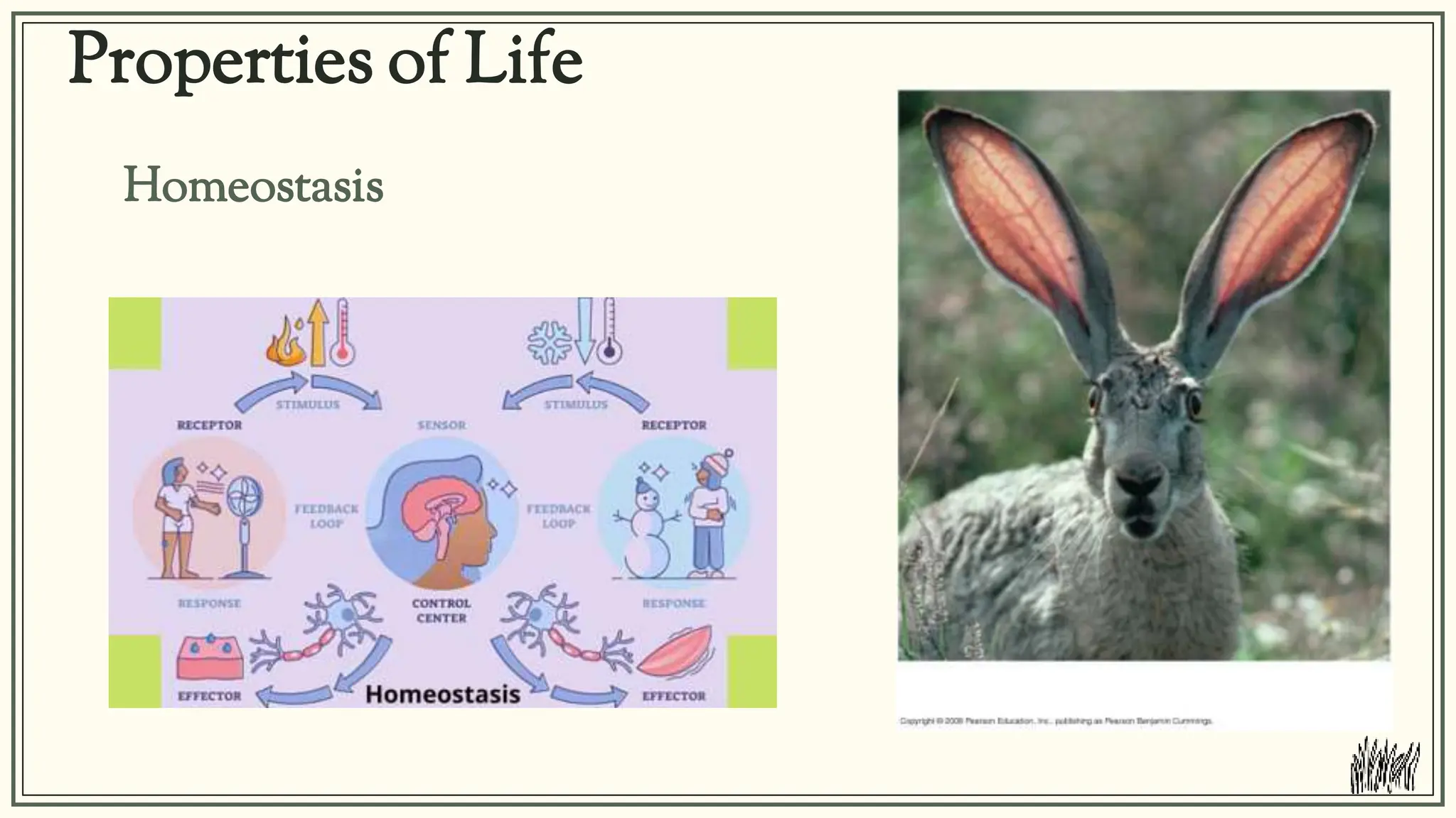 Chapter 1_General Biology_Scope of Biology.pptx