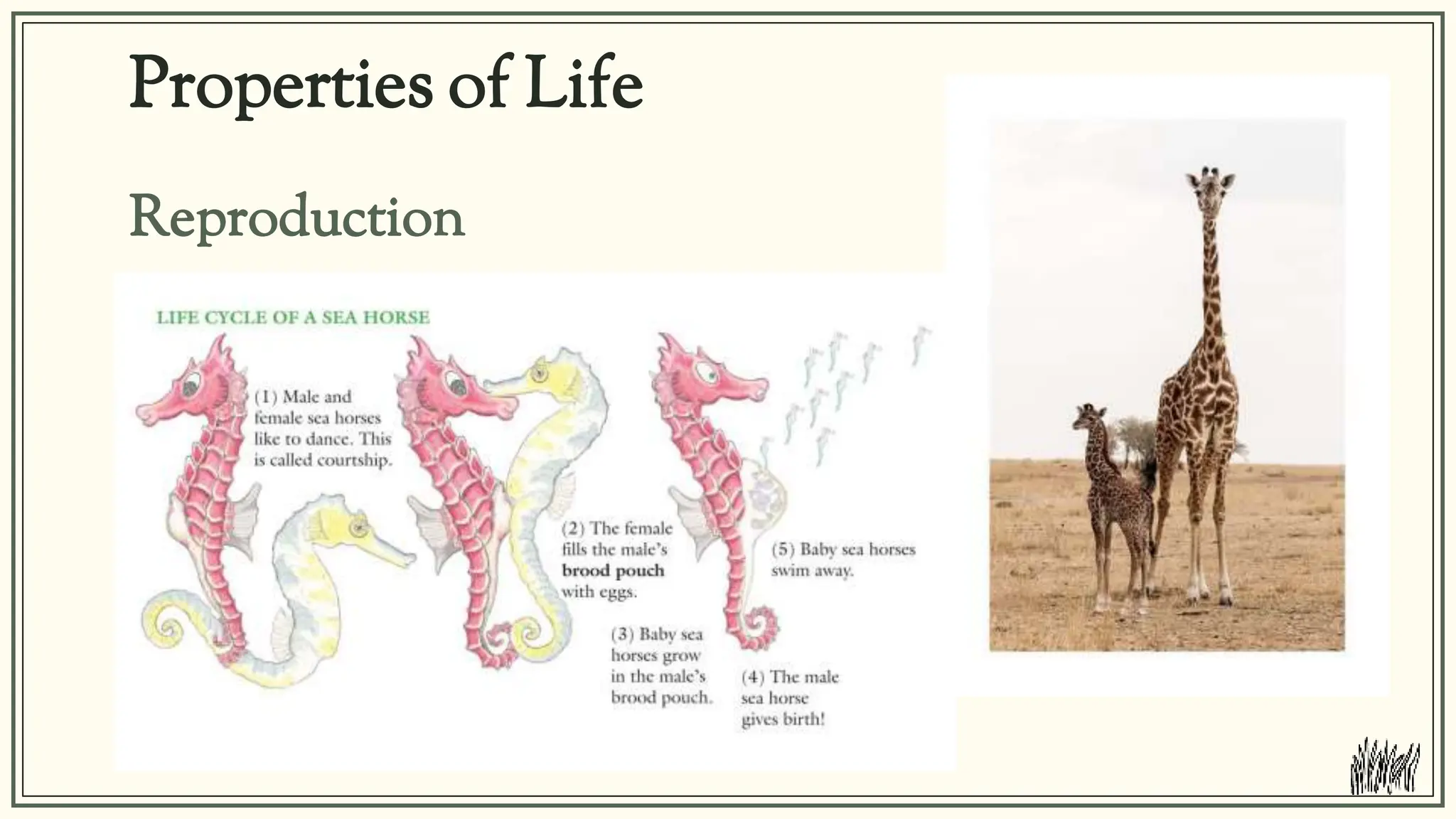 Chapter 1_General Biology_Scope of Biology.pptx