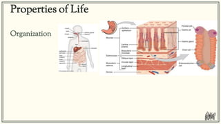 Chapter 1_General Biology_Scope of Biology.pptx