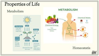 Chapter 1_General Biology_Scope of Biology.pptx