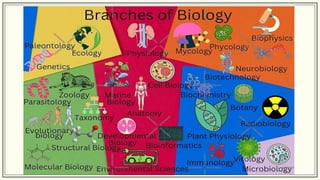Chapter 1_General Biology_Scope of Biology.pptx