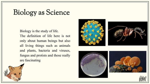 Chapter 1_General Biology_Scope of Biology.pptx