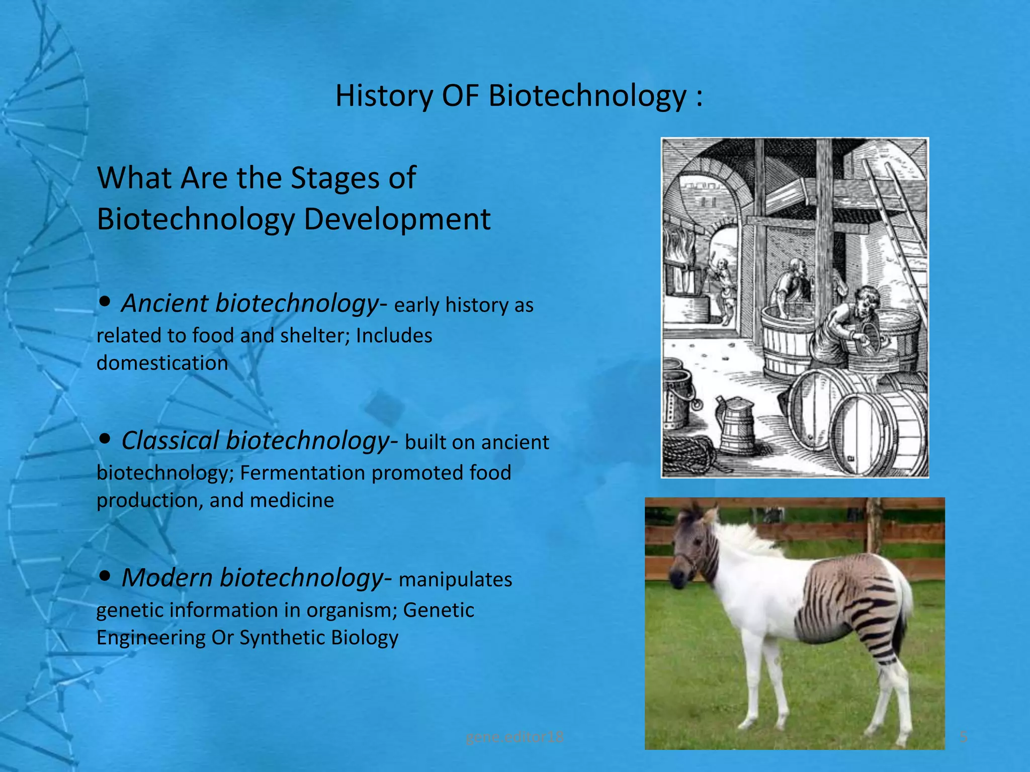 Scope of biotechnology and modern biotechnology | PPTX