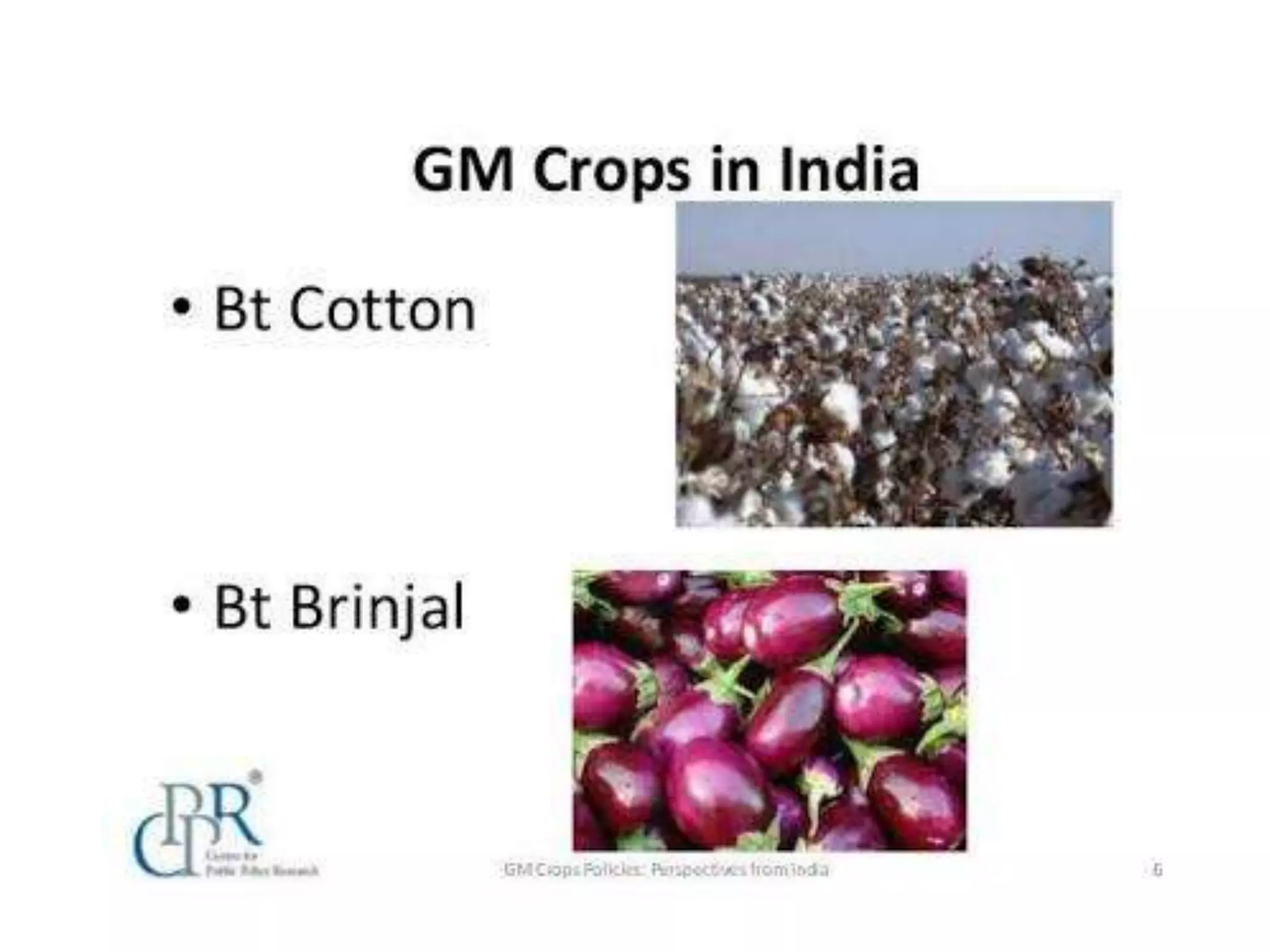 Scope of GM crops in india | PPTX
