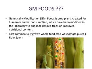 Scope of GM crops in india | PPT