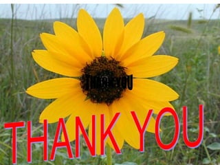 Scope of Mathematics.ppt