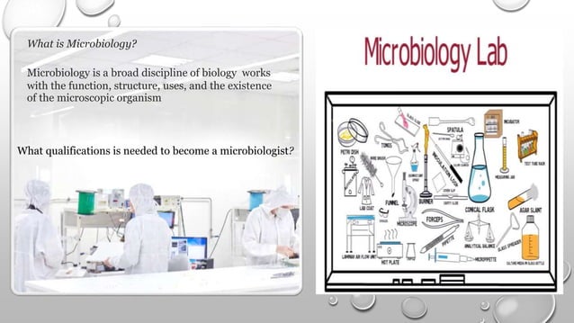 Scope Of Microbiology | PPT
