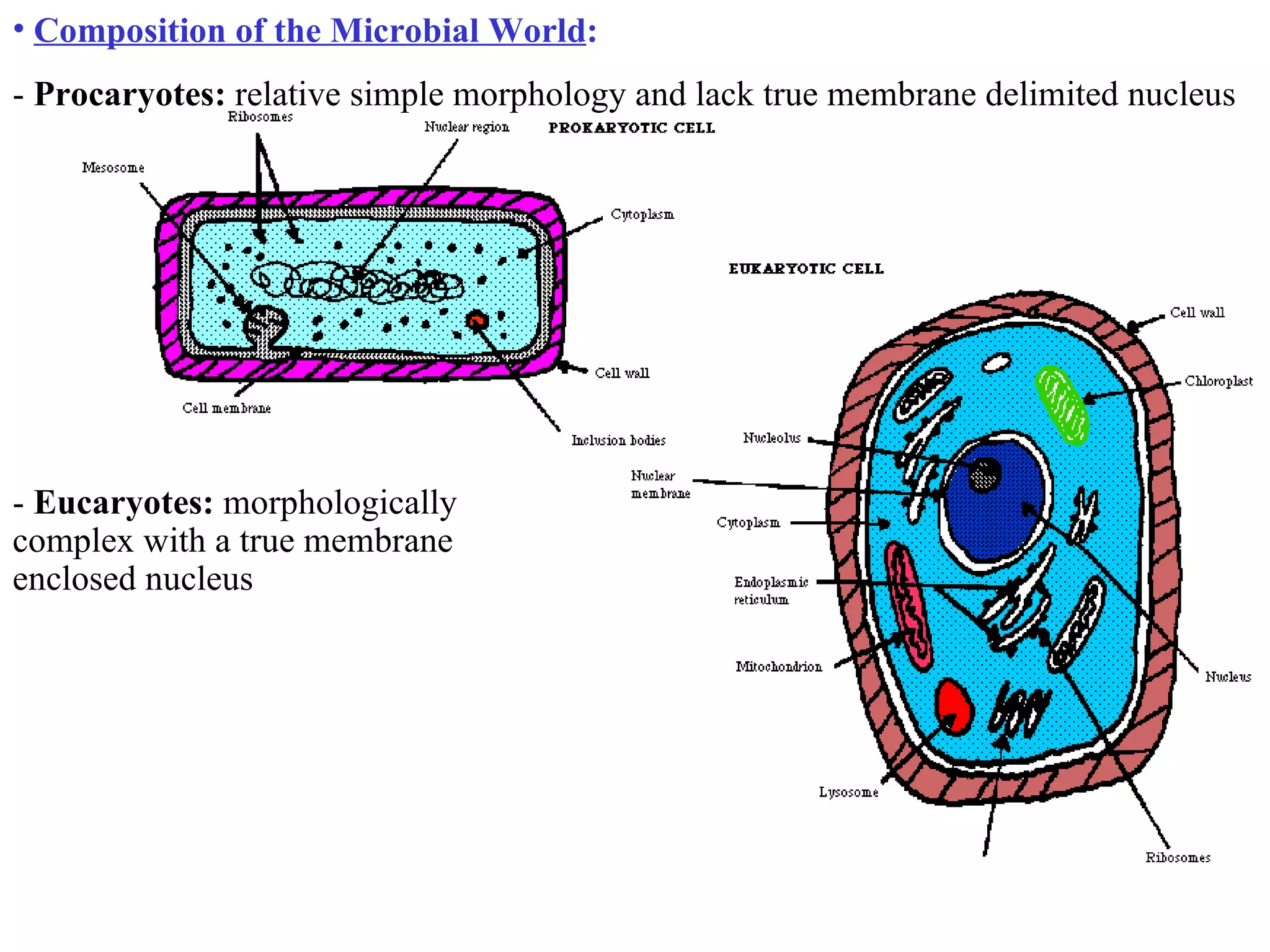 Scope of microbiology | PPT