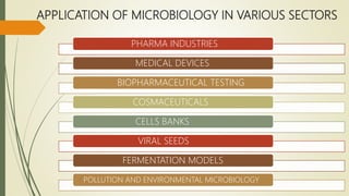 scope of microbiology | PPTX | Infectious Diseases | Diseases and ...