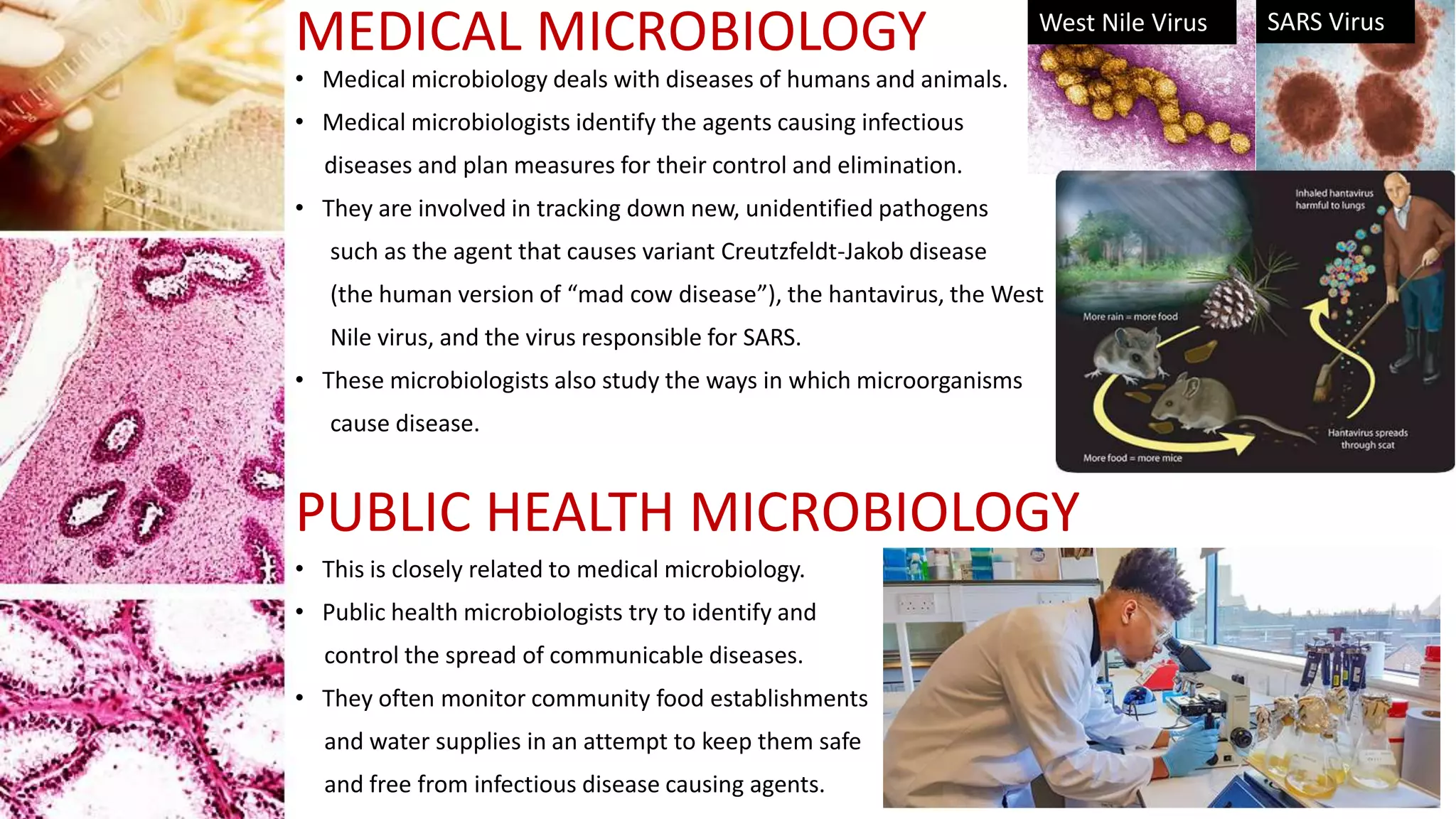 Scope of microbiology | PPT